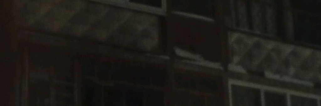 💙Стич тут!💙