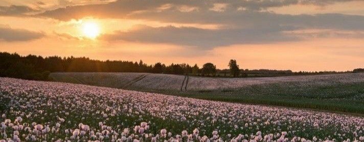 ✨Полинка✨