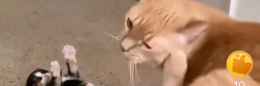 🪓♥️Топорик♥️🪓