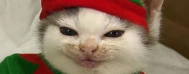 Мультфильмы и мультсериалы