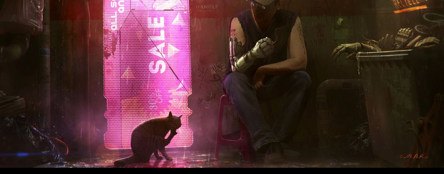 «Квантовая кошка QWERTY»