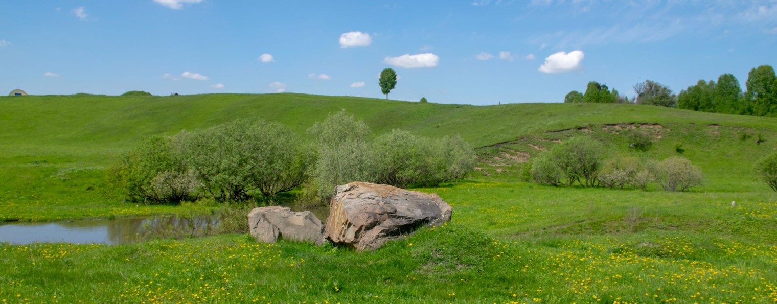 Боронихина