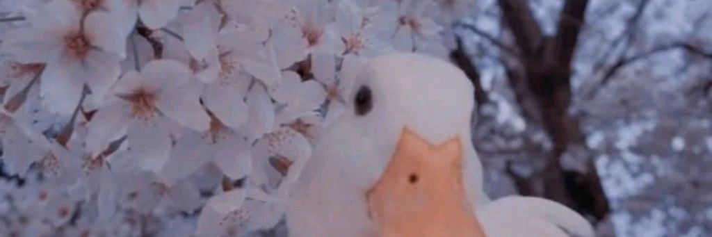 Лëличка ❤🐭