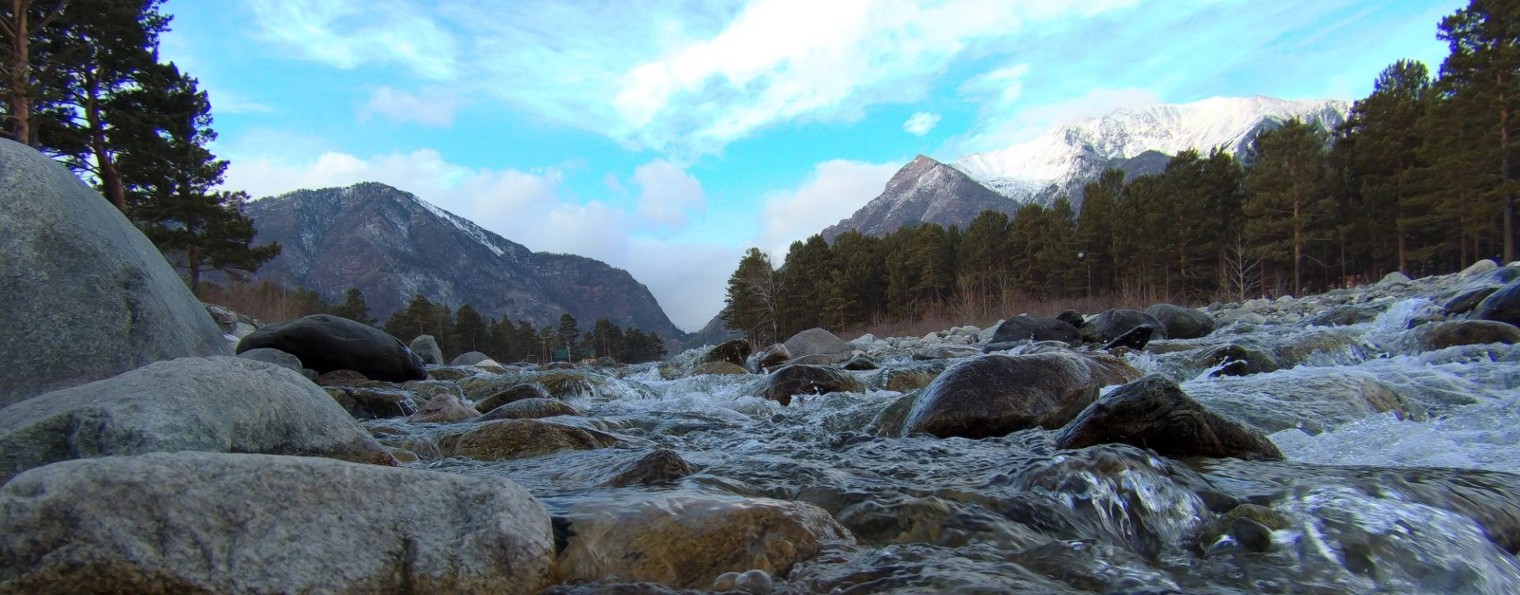 Загородный дневник
