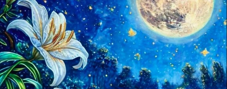 LikkoriS coloring ⋆౨ৎ˚⟡˖ ࣪