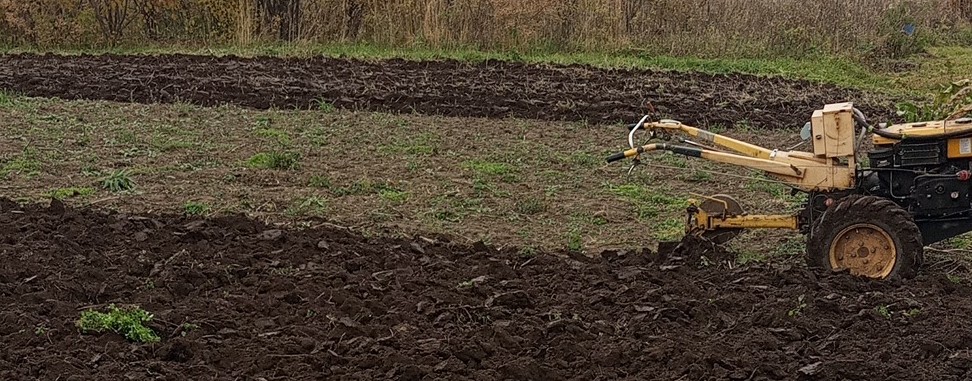 Александр Х