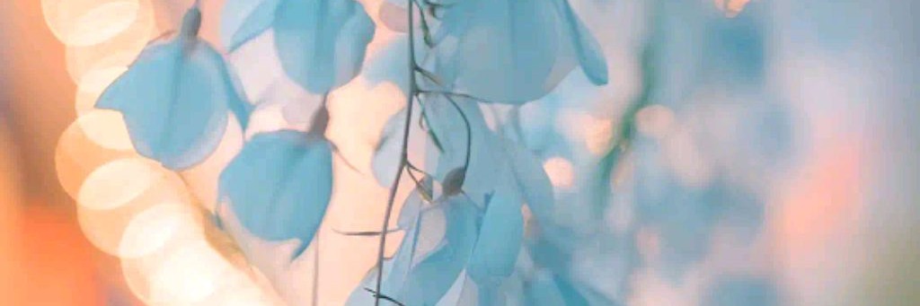 Super Bear Adventure. Желейный Котик.