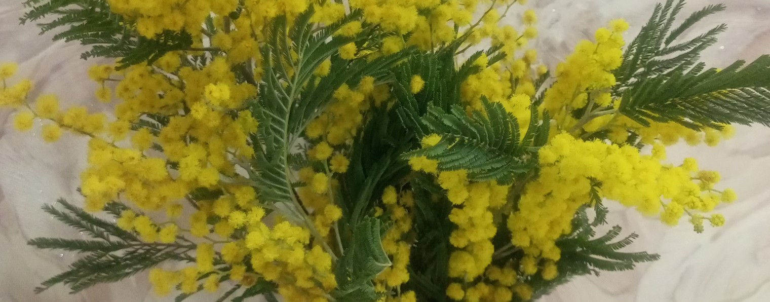 Ящерица Мысик