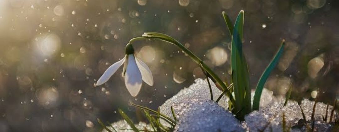 Самарчанка