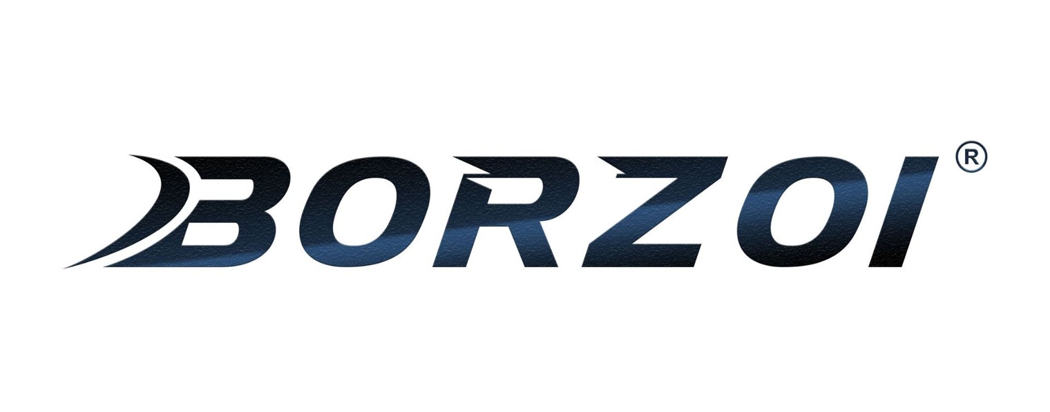 Велосипеды БОРЗОЙ (BORZOI)