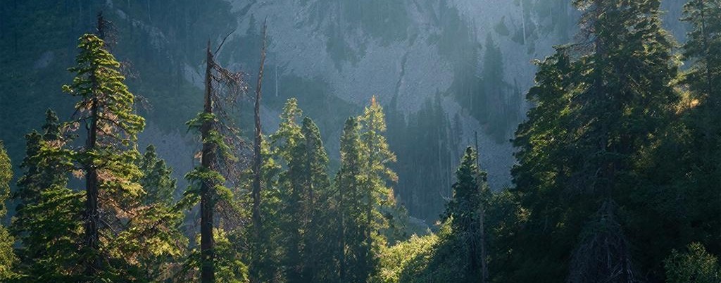 LUNABIKE / ЛУНОБАЙК