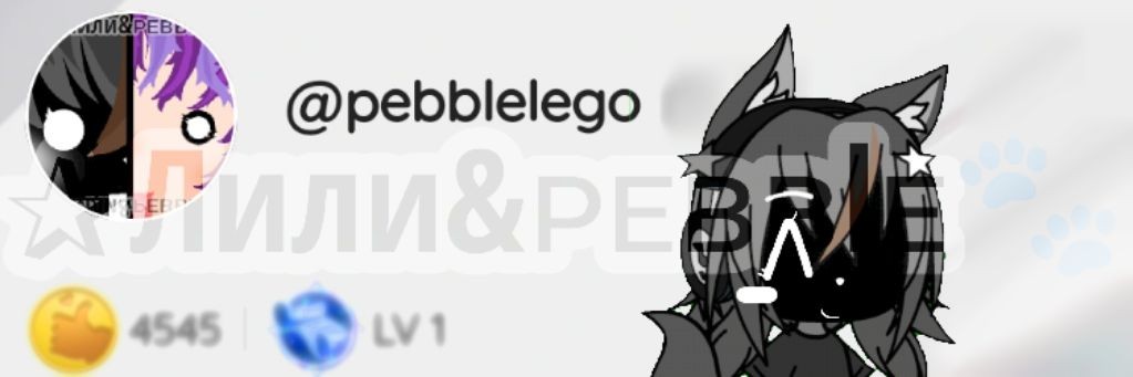 ✰Лили&ᴩᴇʙʙlᴇ🐾