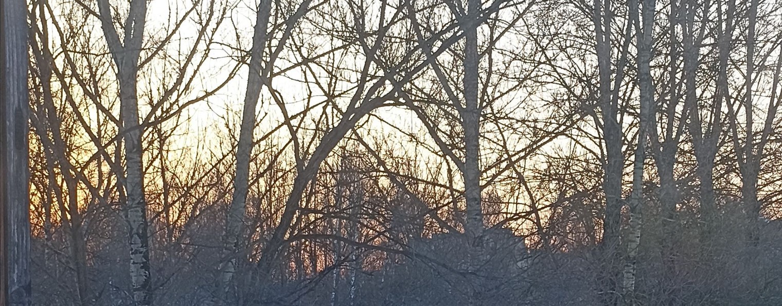 Фанатка Смертоносного Лью (КАШТАНКА)