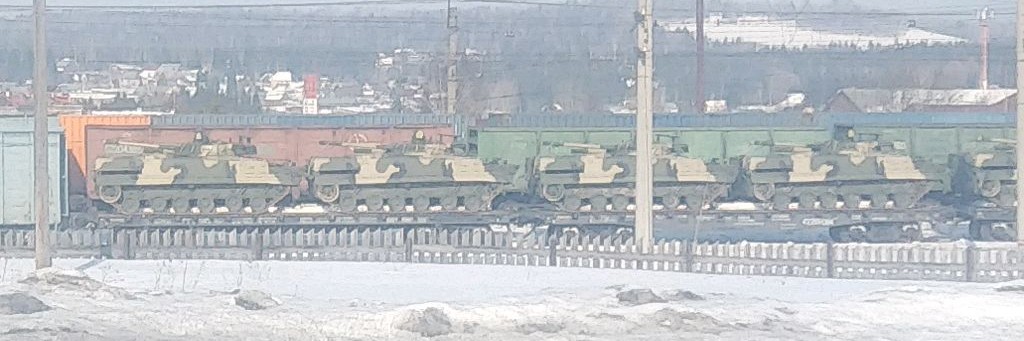 Дикая_шишка