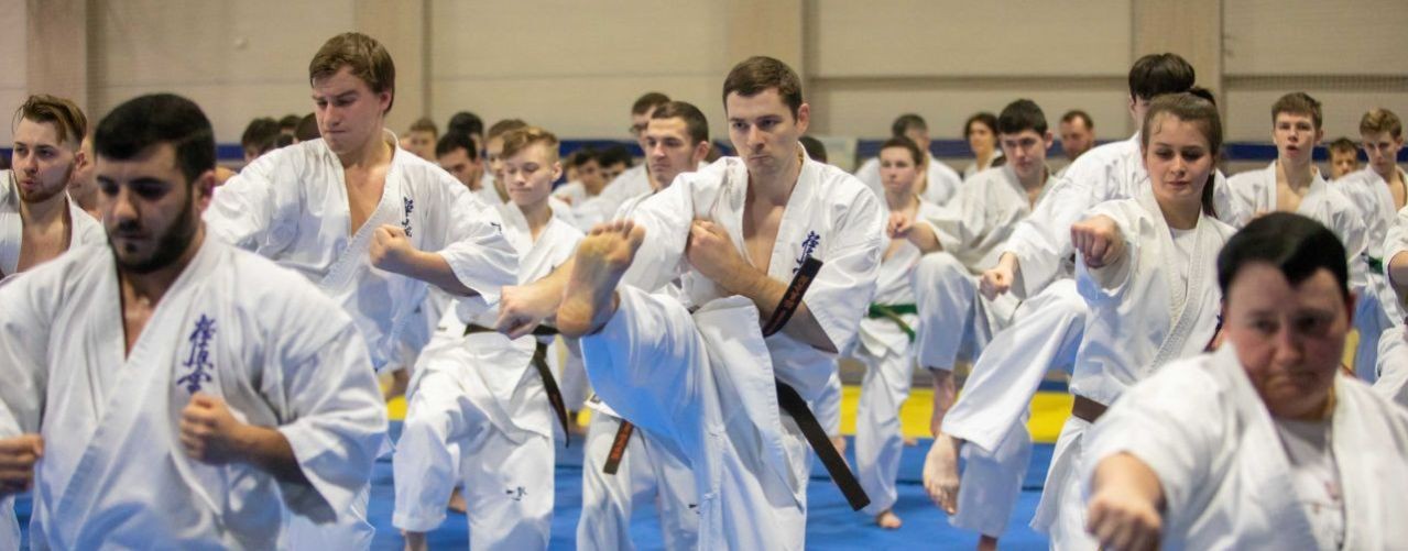 СК Защитник. Карате Киокусинкай. Павловск и Мурино