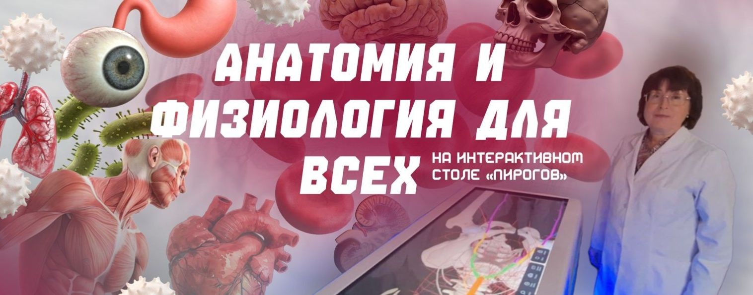 Анатомия и физиология для всех