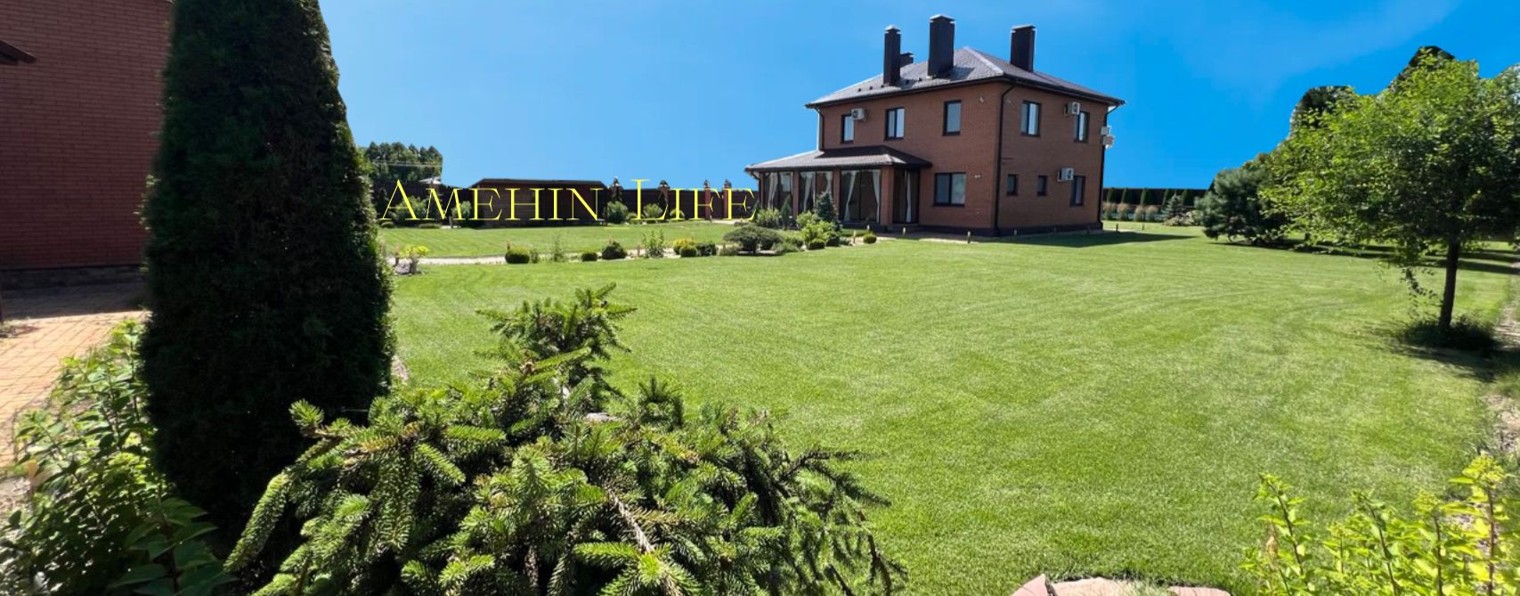 Amehin_Life