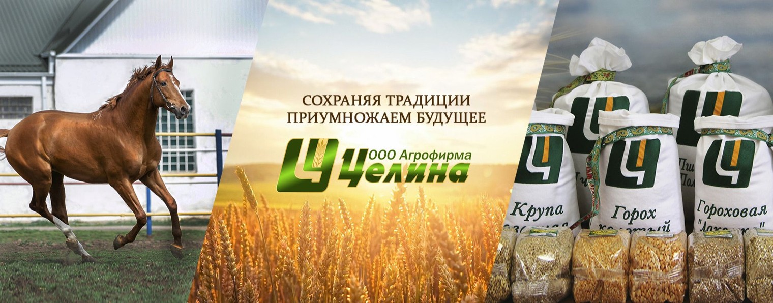 Агрофирма "Целина"