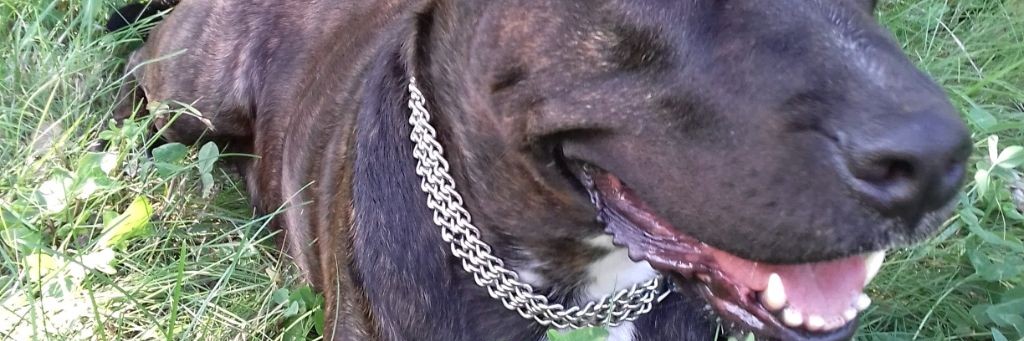 Наталья Бондаренко