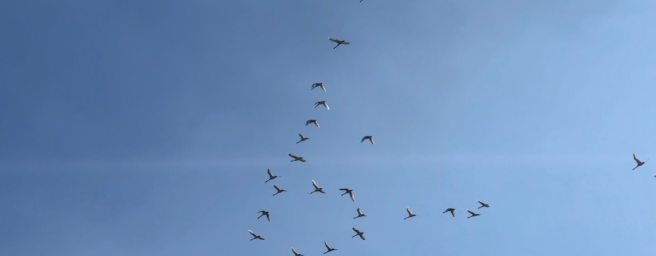 Дорога перемен. Семья Сабылиных на юге