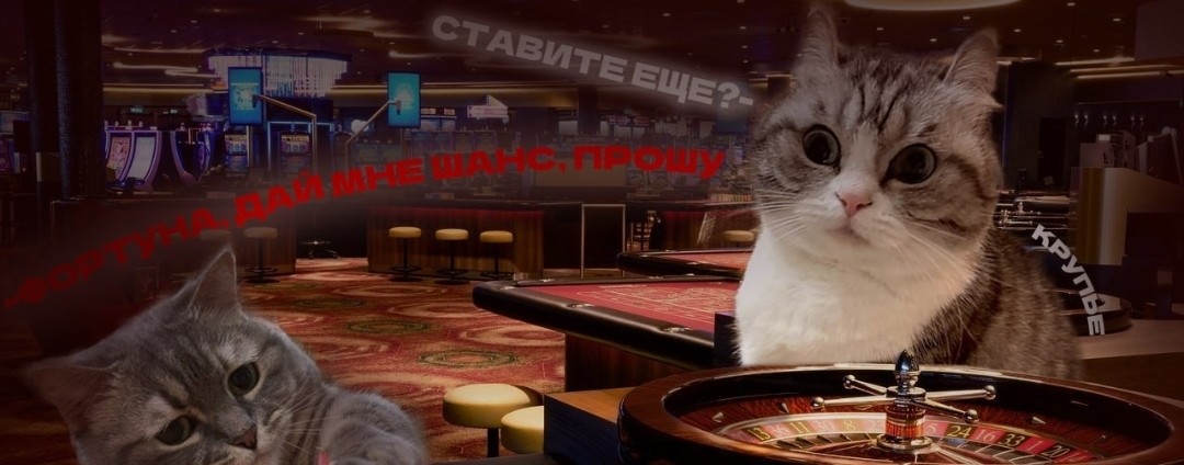 (⁠◡⁠⁠ω⁠⁠◡⁠)Какич_Окакич(⁠◡⁠⁠ω⁠⁠◡⁠)