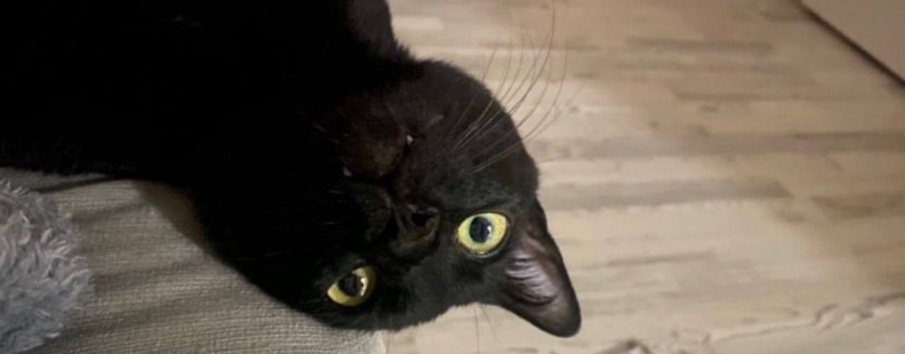 Супер Настя