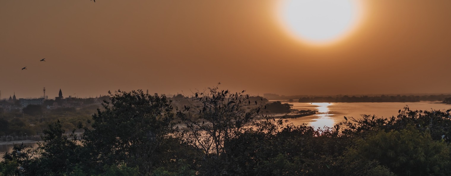 DAYA Ведическая мудрость