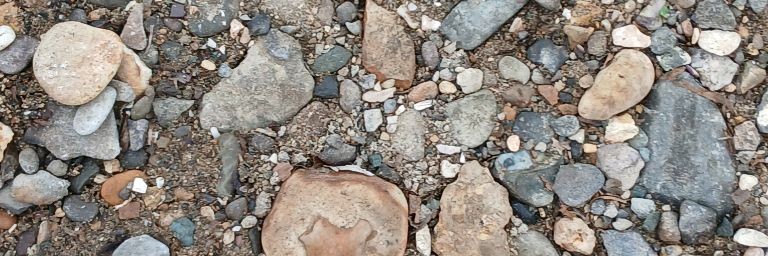 Светлана Эрн