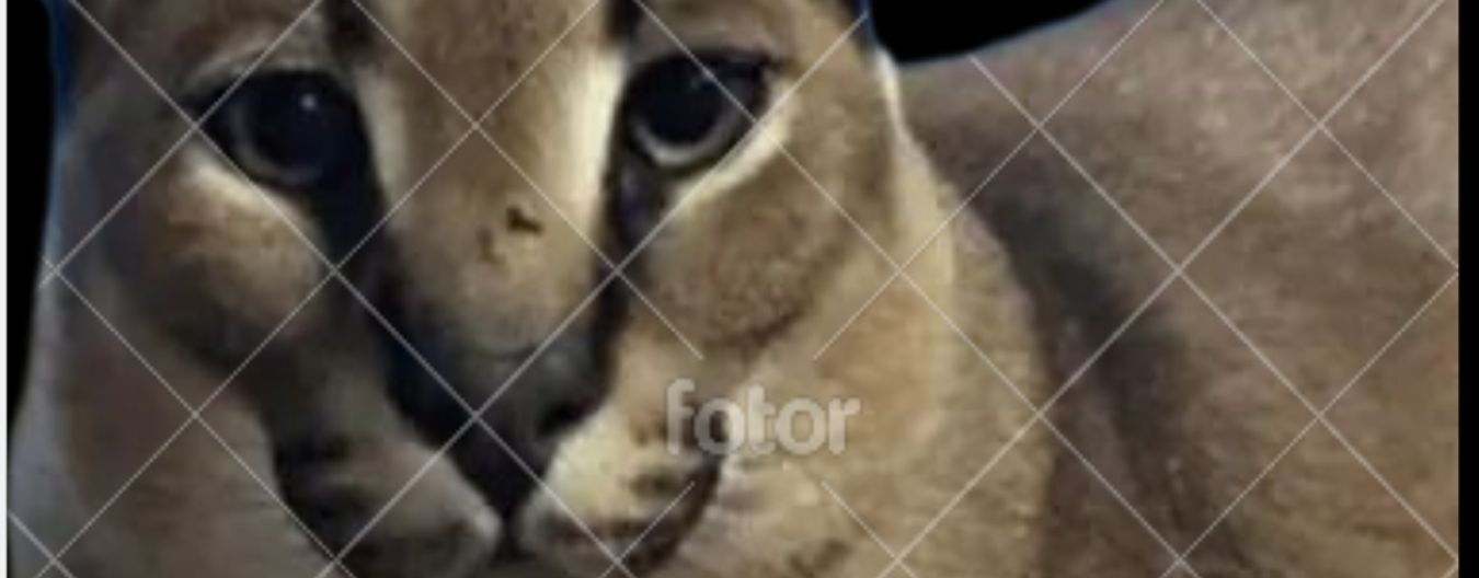 видео созданые ии