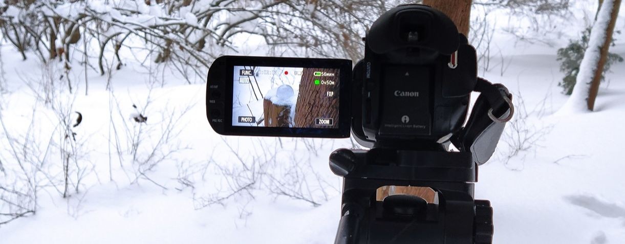 Творческая мастерская / Jana Velk