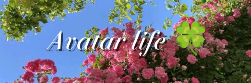 Avatar life 🍀