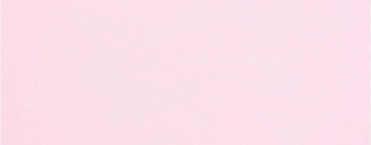 Василисы Премудрые