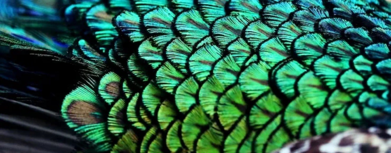 Путь к Себе