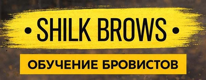 Школа Бровистов Елены Шильковой | Shilk Brows