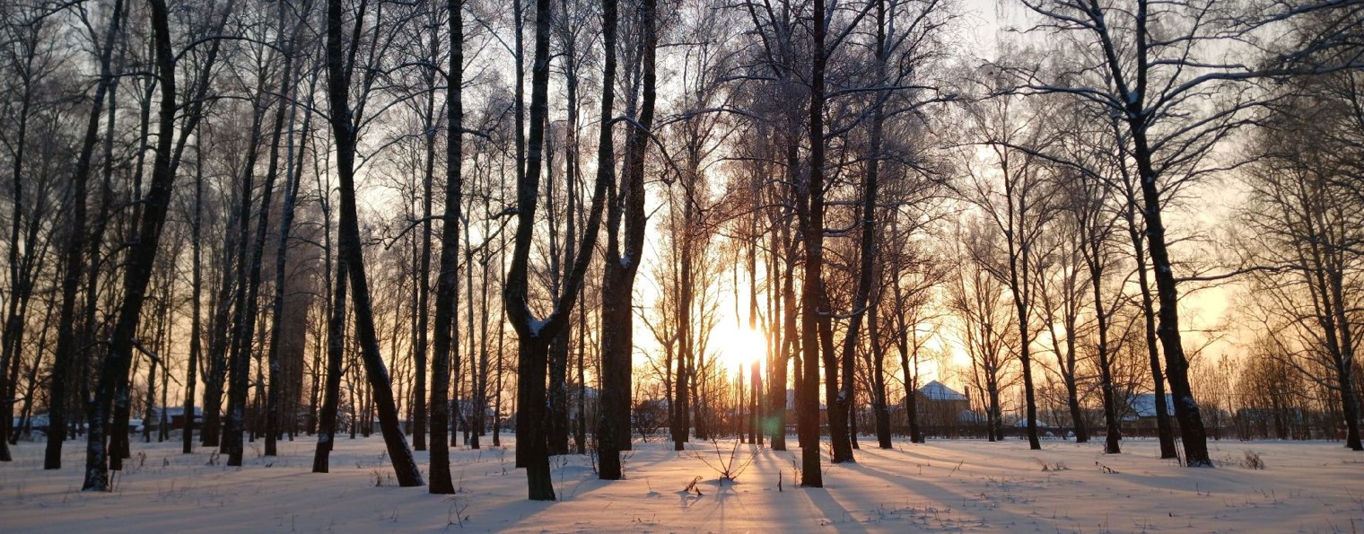 Молодой лесок г. Сухиничи @spastiles