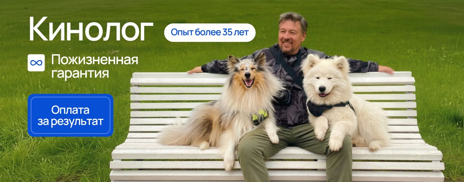 Игорь Алтайский|Кинолог|Дрессировка