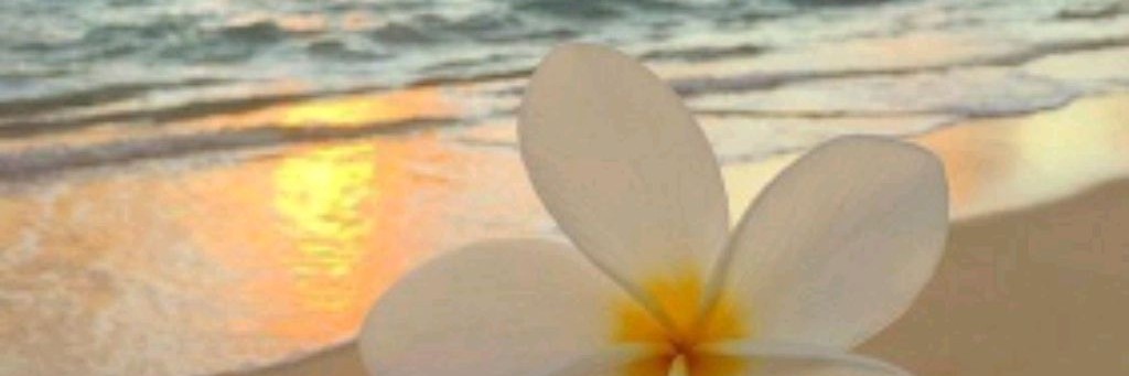 🌼@~`•`|||•`~•`Цветочки~`•``||`~~`•,🌼