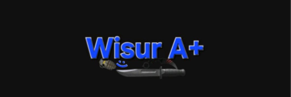 Wisur A+