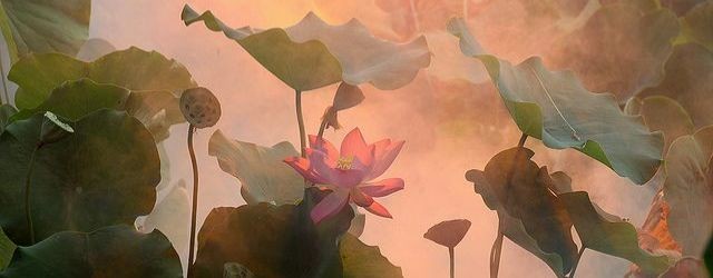 ХРАМ ВЕНЕРЫ