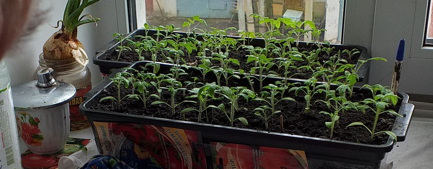 ДАРЫ ПРИРОДЫ.