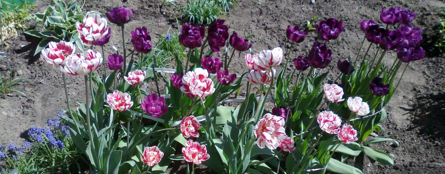 Дверь в окно