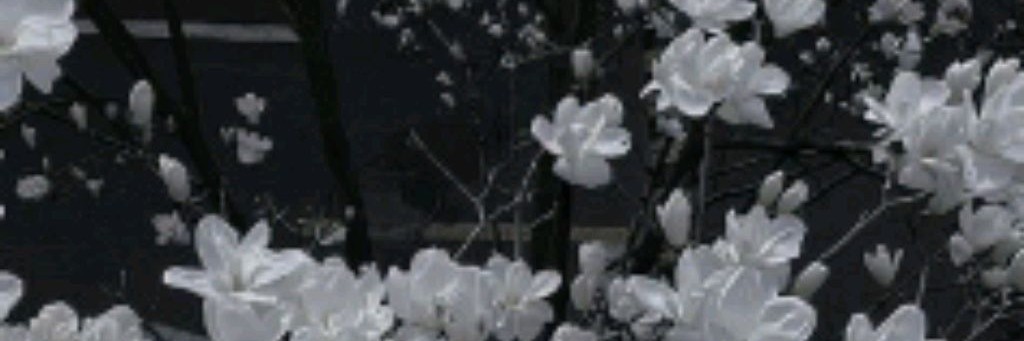 🖤Соня🖤✨
