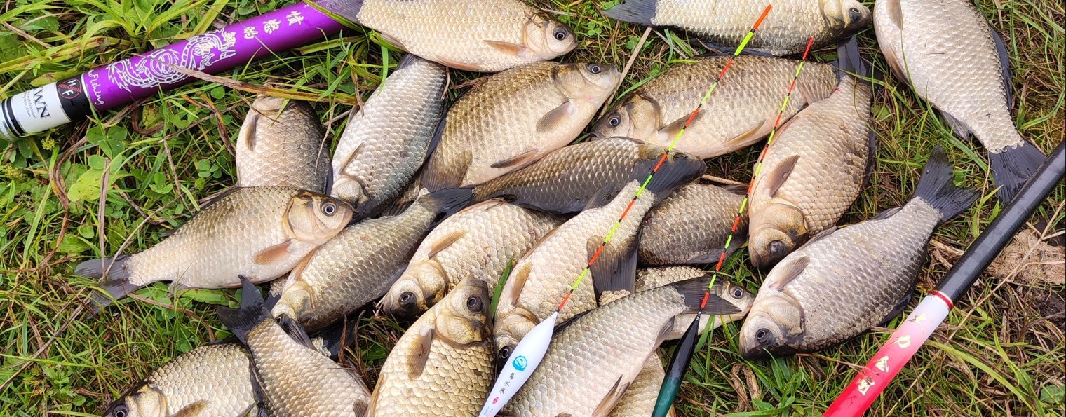 МОЯ ХЕРАБУНА