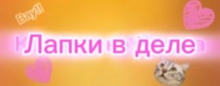 Лапки в деле.
