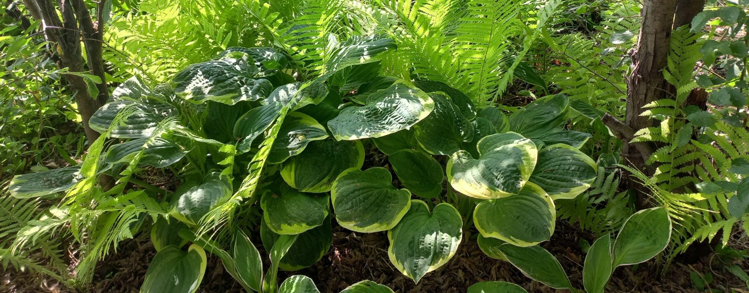 Олеся Валерьевна