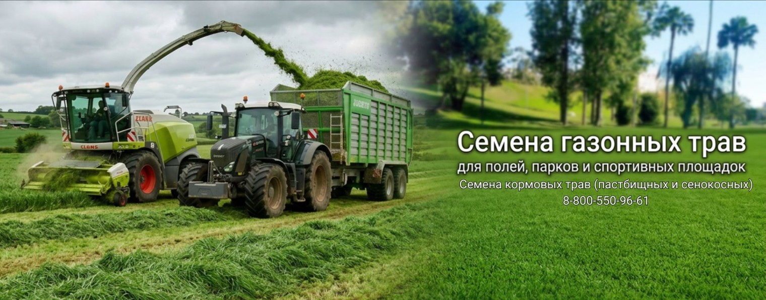 Атлантис: от Поля до Газона