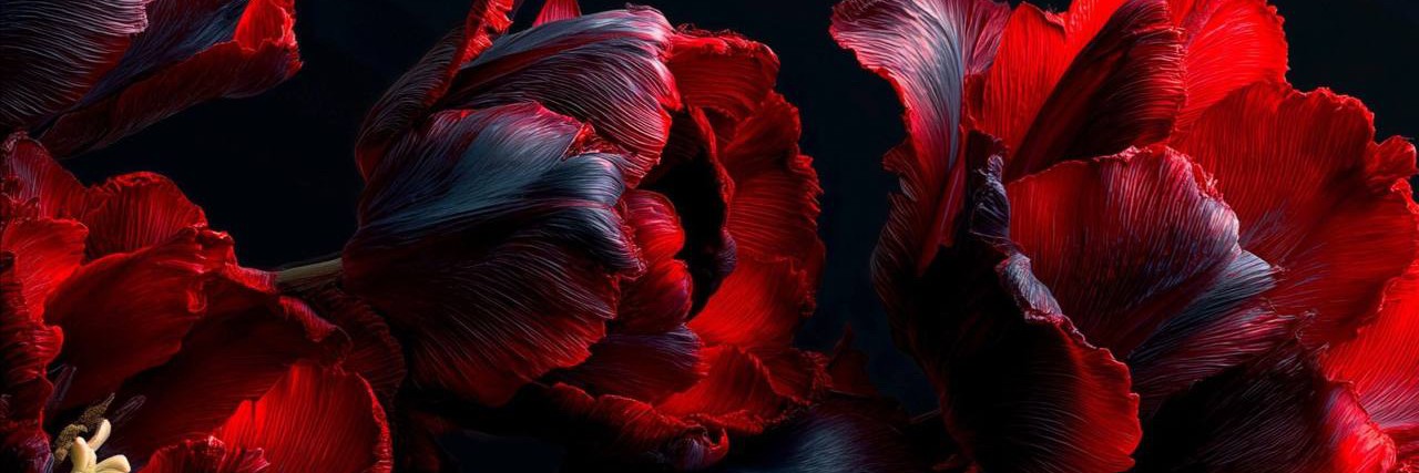 Анастасия Королева - Терапия Души