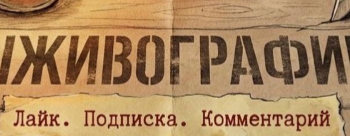 Выживографика