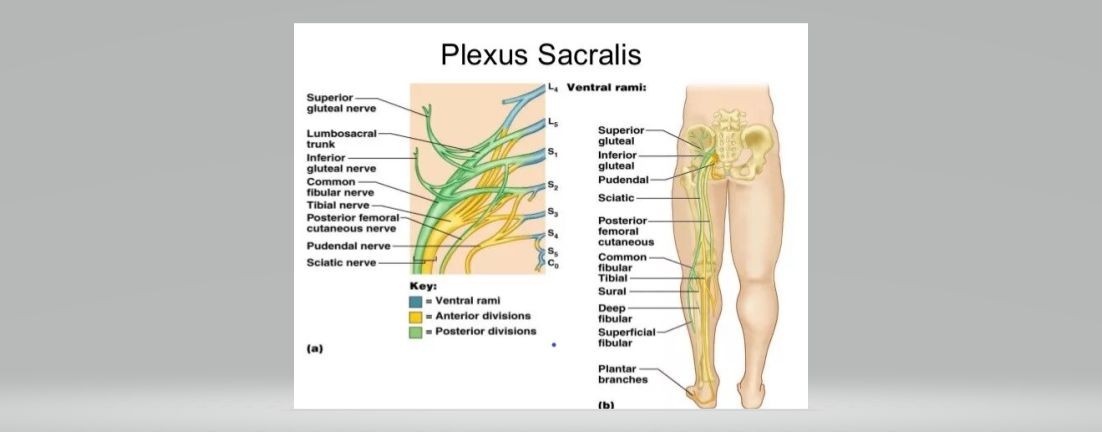 Живая Этика