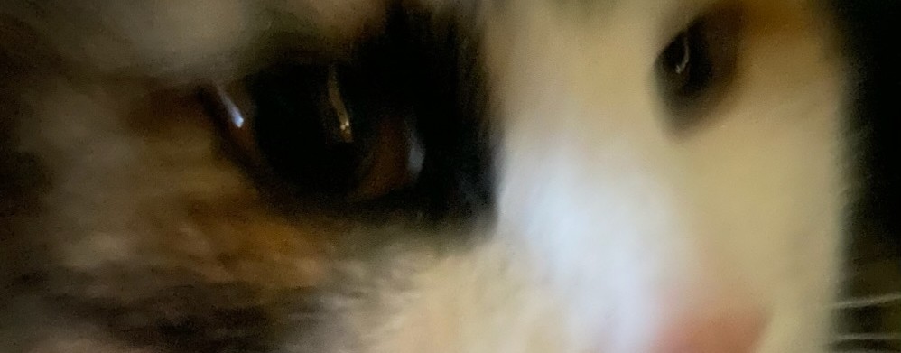 канал KIBER MUSYA